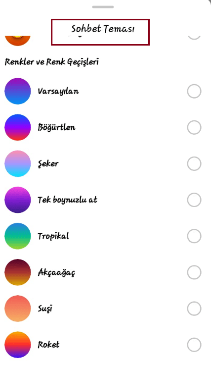 İnstagram Sohbet Teması Degiştirme Özelligi
