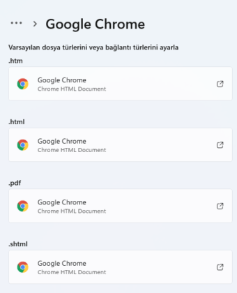 Windows 11'de Google Chrome Nasıl Yüklenir?