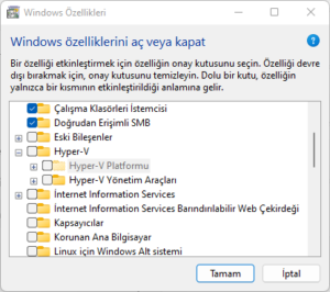 Windows 11 Home Hyper-V Kurulumu