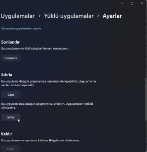 Windows 11 Ayarlar Uygulaması Nasıl Sıfırlanır