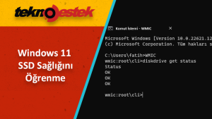 Windows 11 SSD Sağlığı Öğrenme