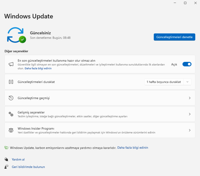 Windows 11'de Performans Ayarları Nasıl Yapılır